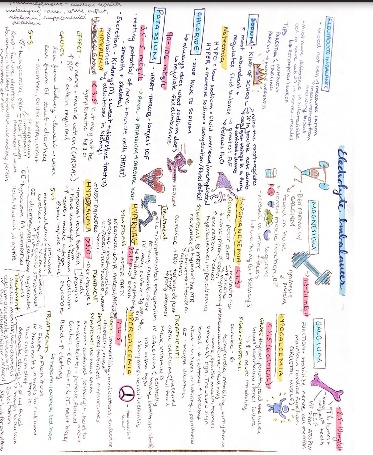 NSG Concept Map: Electrolyte Imbalance - Etsy