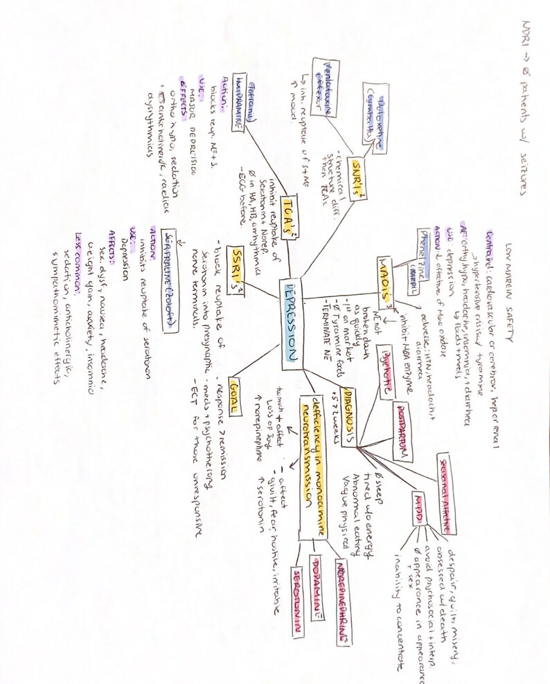 PHARM Concept Maps: Depression - Etsy