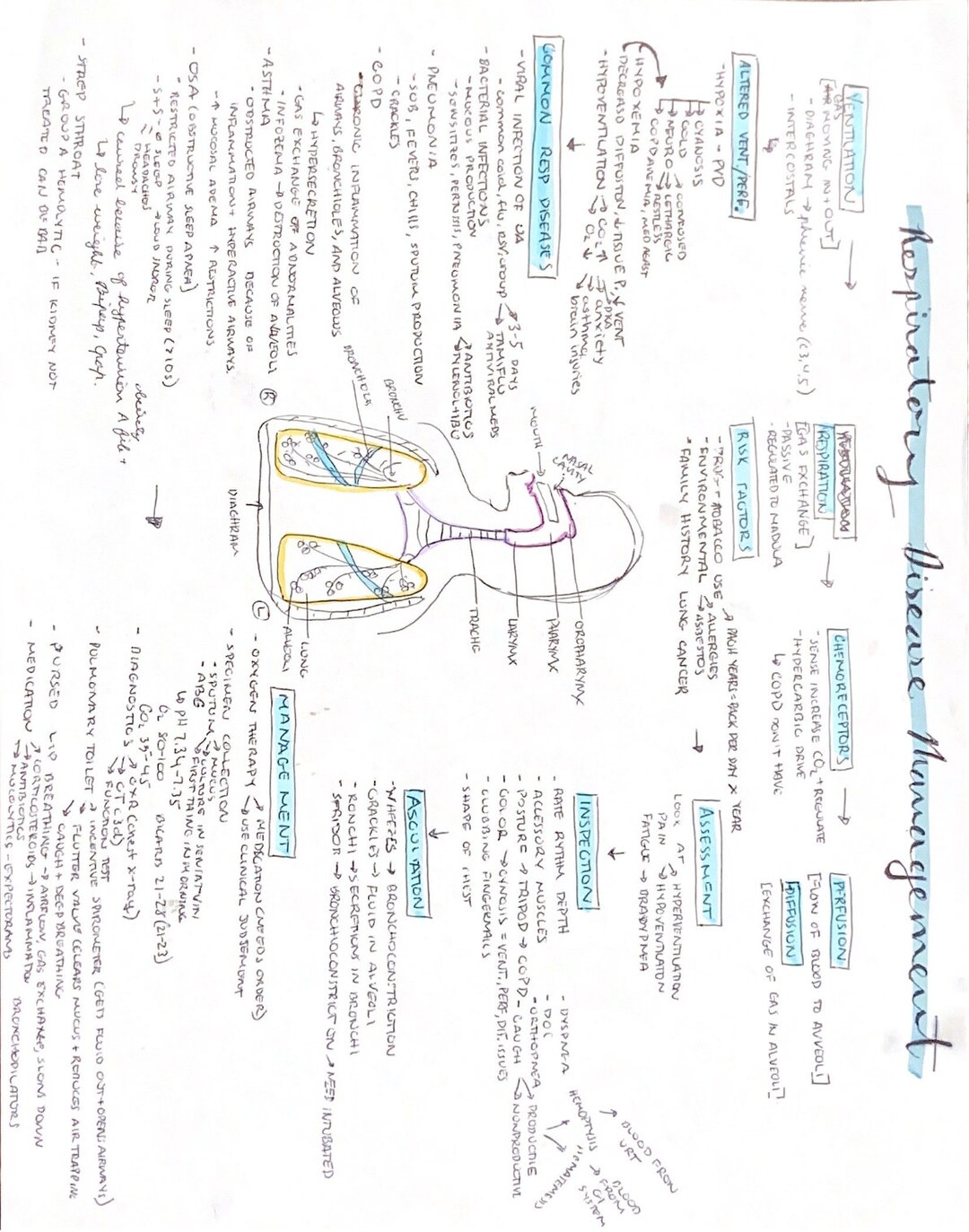 NSG Concept Maps: Respiratory Disease Management - Etsy