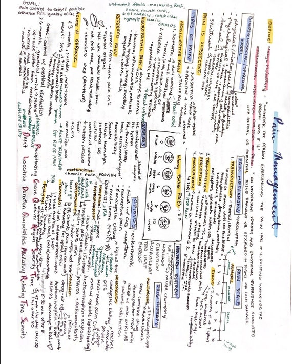 NSG Concept Maps: Pain Management - Etsy