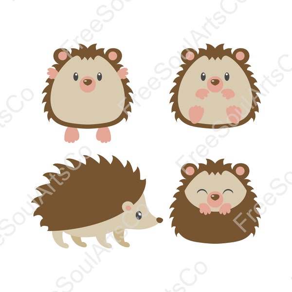 Baby Hedgehog - Etsy