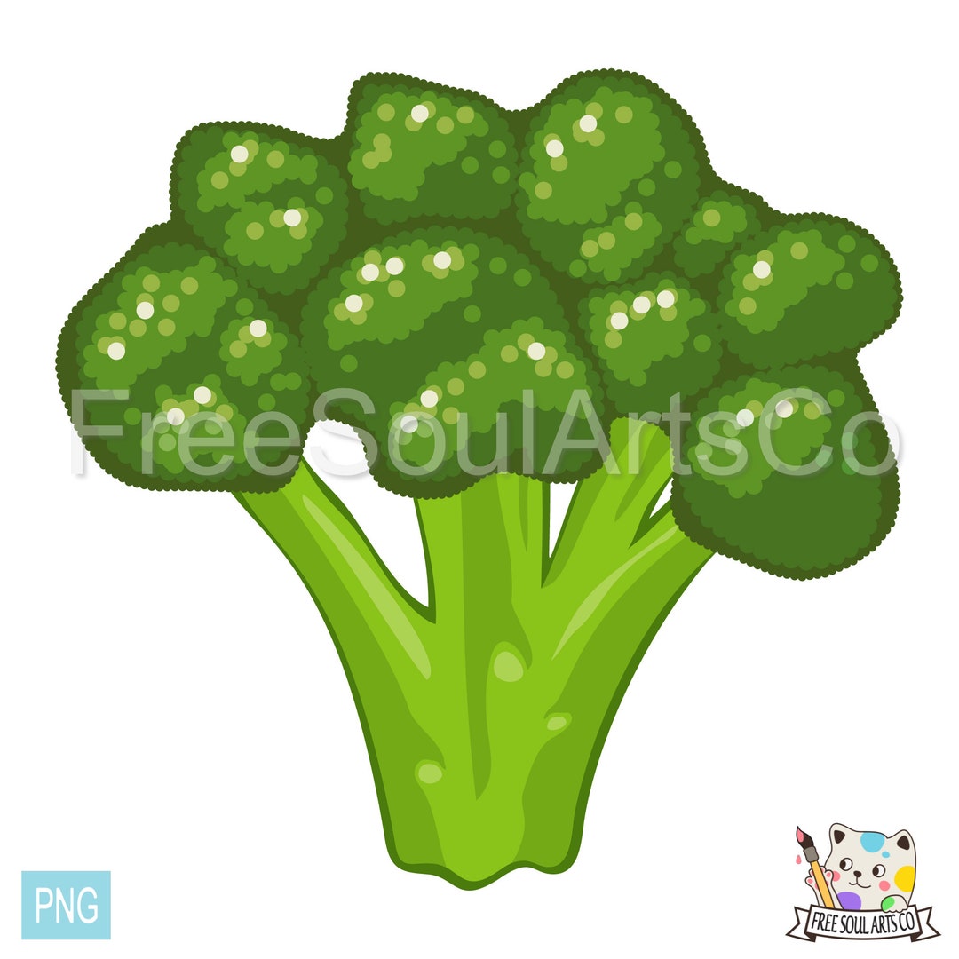 Broccoli Png. Vegetable Png. Healthy Food. Broccoli Clipart. Digital ...