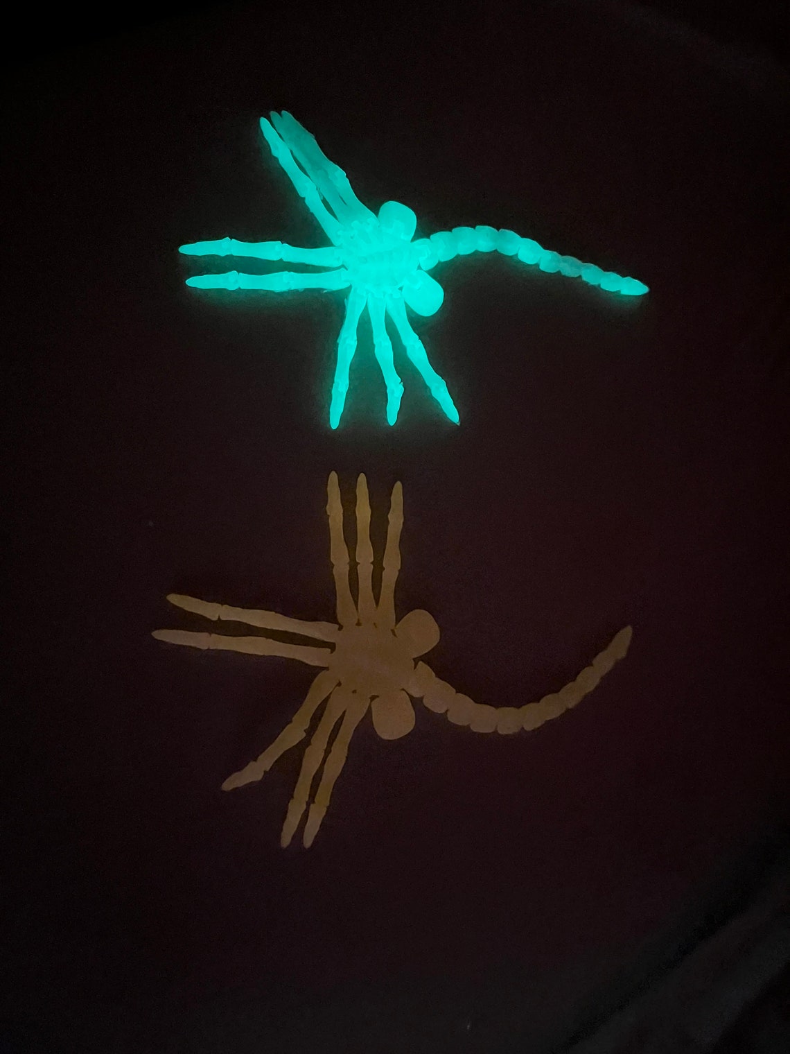 Alien Movie Memorabilia Flexible Facehugger GLOWS - Etsy