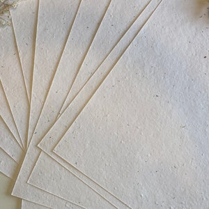 Plantable Seed Birthday Card Pack, Yellow Wildflower Bee Designs, 4 ...