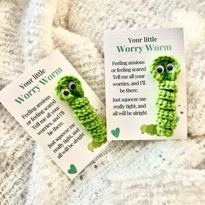 Worry Worm Crochet Pocket Hug Gift, Starting School, Separation Anxiety, Pocket Hug Anxiety Gift ...