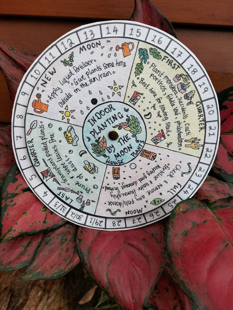 Moon Gardening Calendar Indoor Plants • Houseplant Planting Guide ...