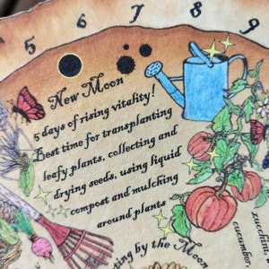 Moon Gardening Calendar • Planting by the Moon Pocket Lunar Calendar ...