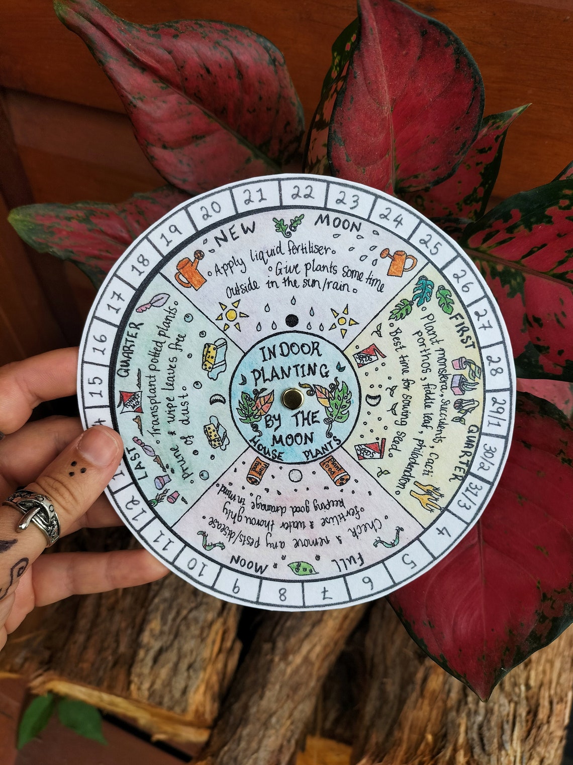 Moon Gardening Calendar Indoor Plants Houseplant Planting Guide ...