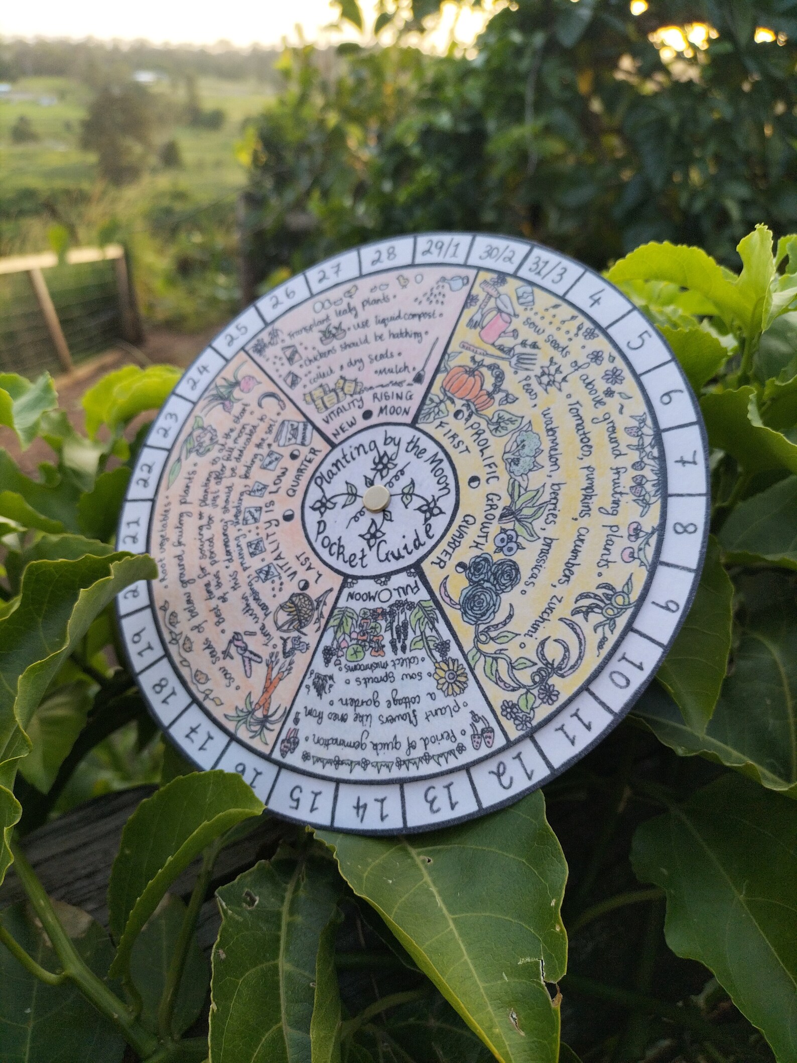 Moon Gardening Calendar • Planting by the Moon Pocket Lunar Calendar ...