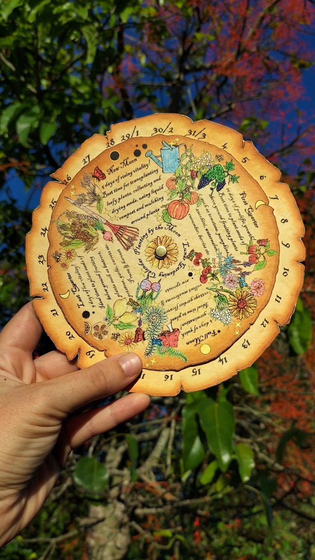 Moon Gardening Calendar Planting by the Moon Pocket Lunar Calendar ...