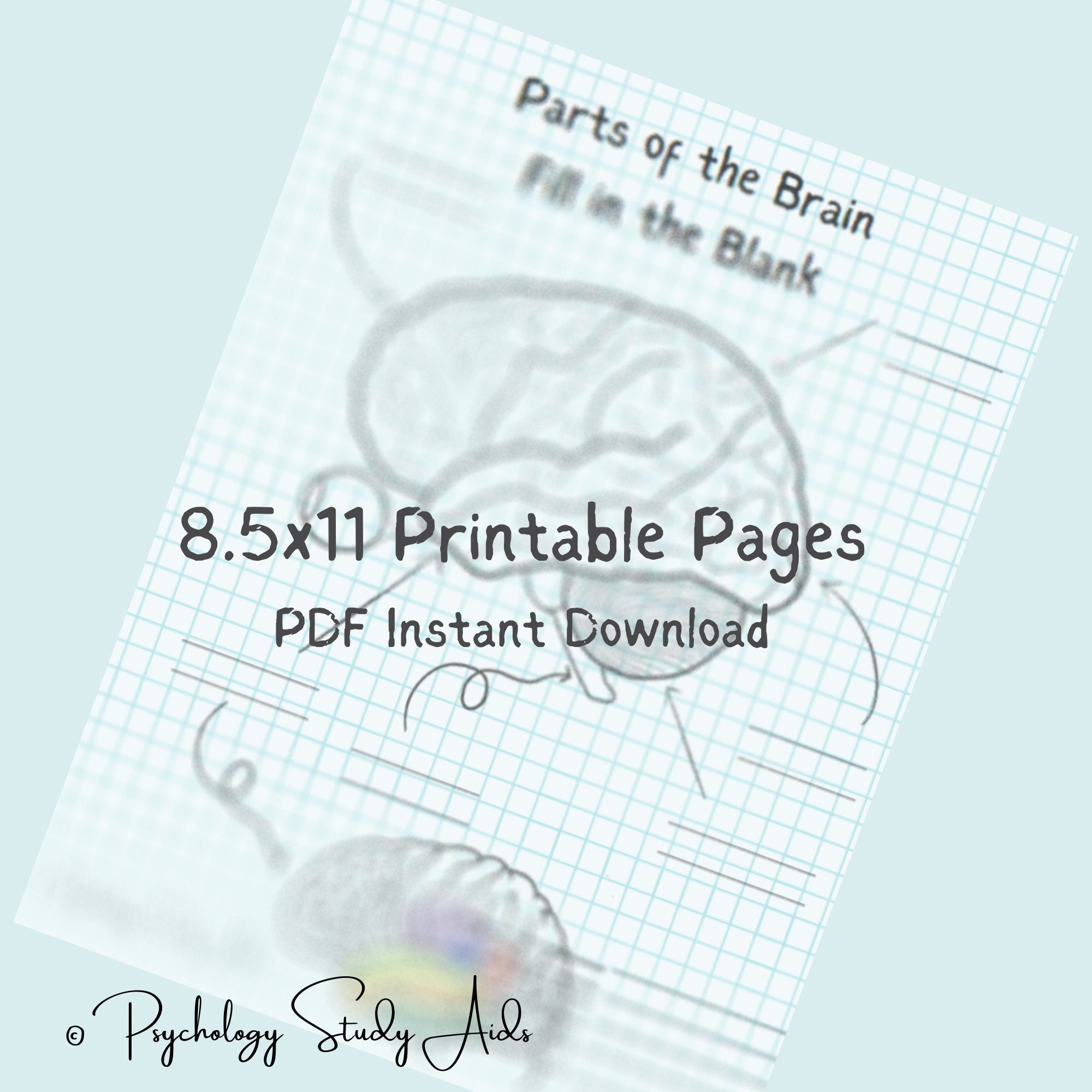Parts of the Brain Printable Study Aid -- Fill in the Blank (A4 ...