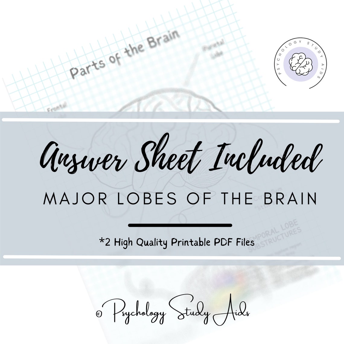 Parts of the Brain Printable Study Aid -- Fill in the Blank (A4 ...