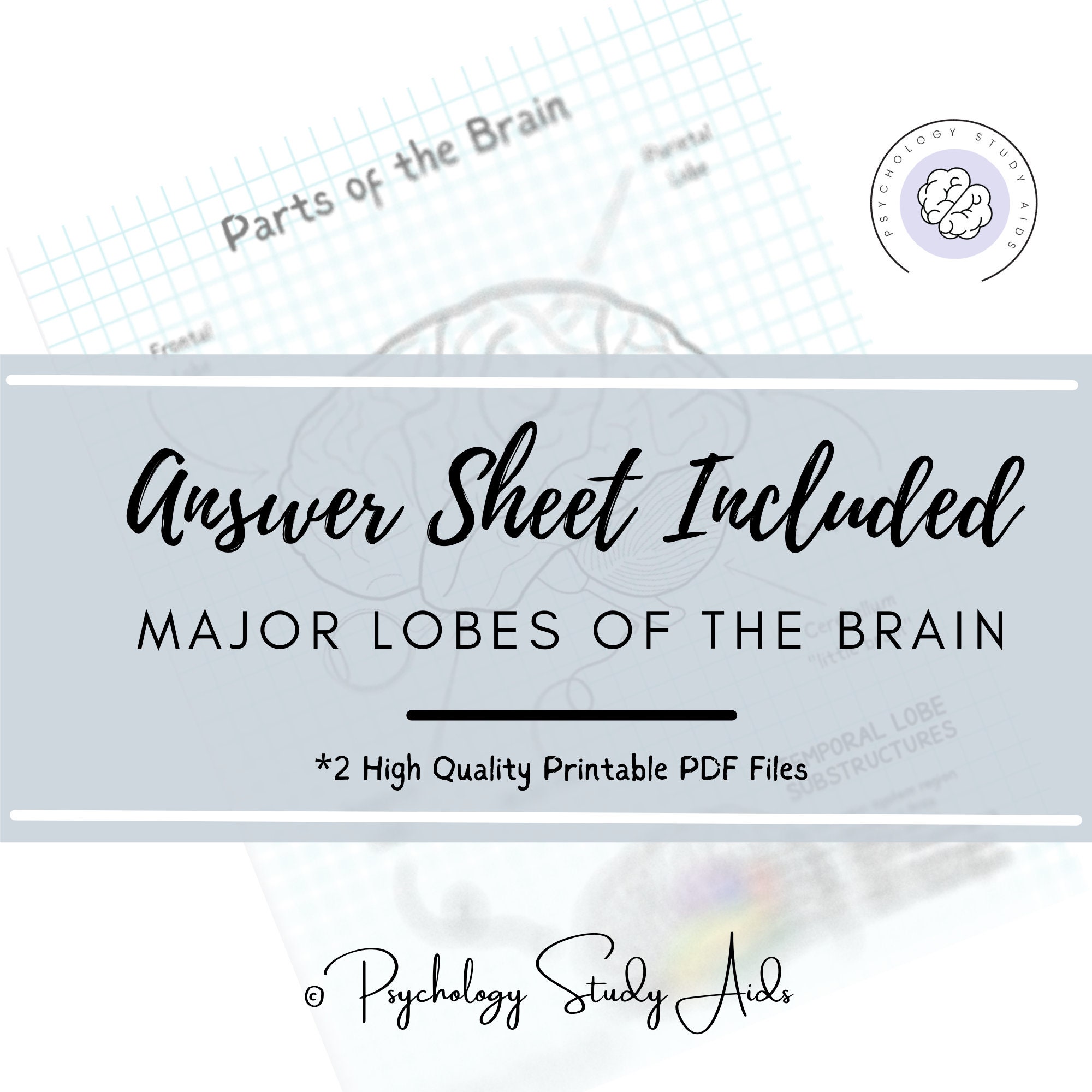 Parts of the Brain Printable Study Aid -- Fill in the Blank (A4 ...