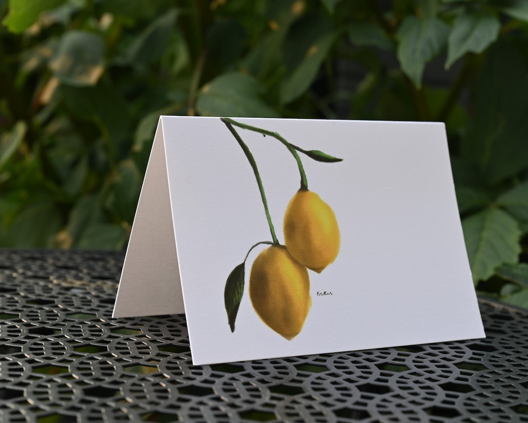 Fresh Lemon Greeting Cards- PACK OF 5 - Etsy