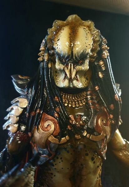 Female Predator Narin