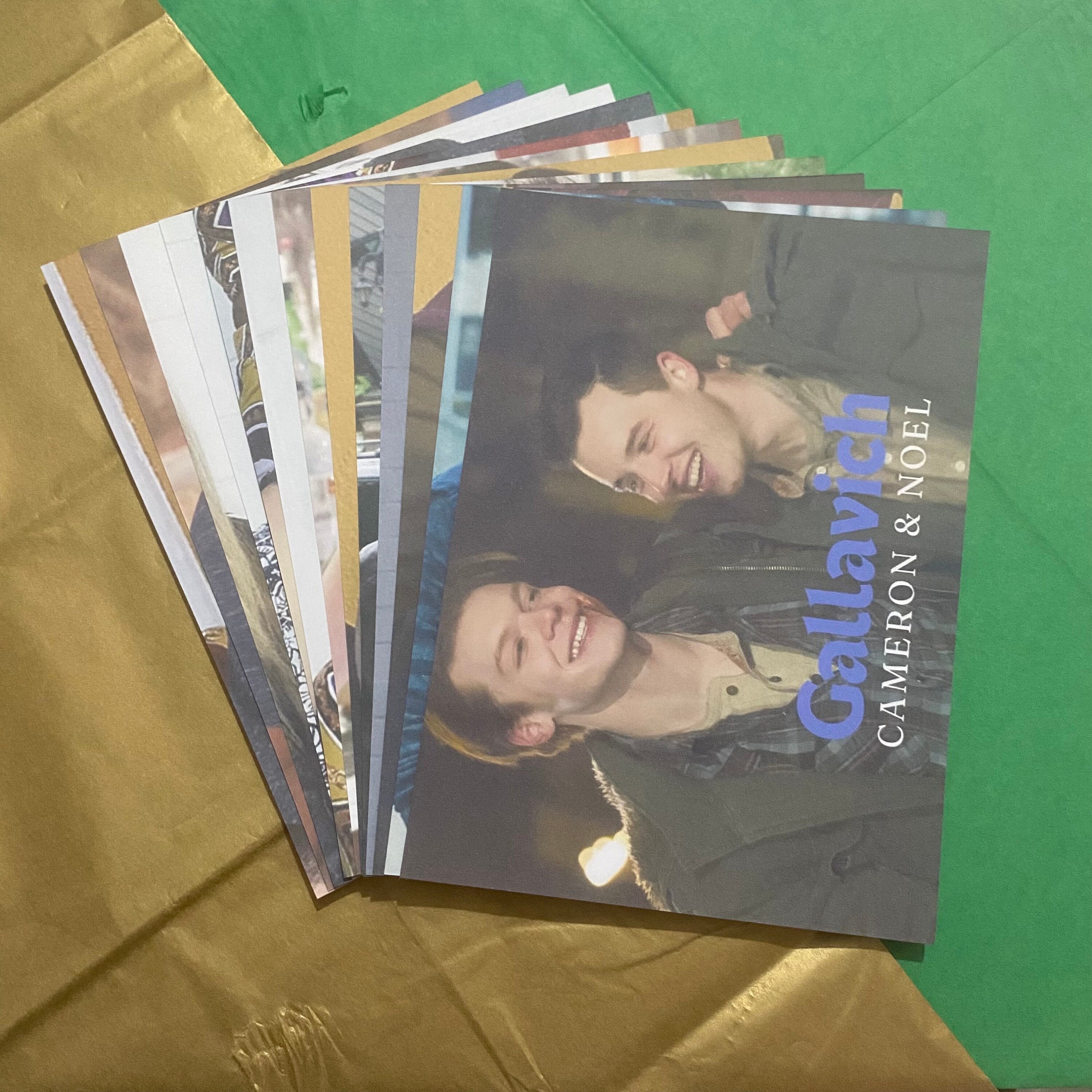 Shameless US Character Prints Art Print TV Show Wall Decor Drama South ...