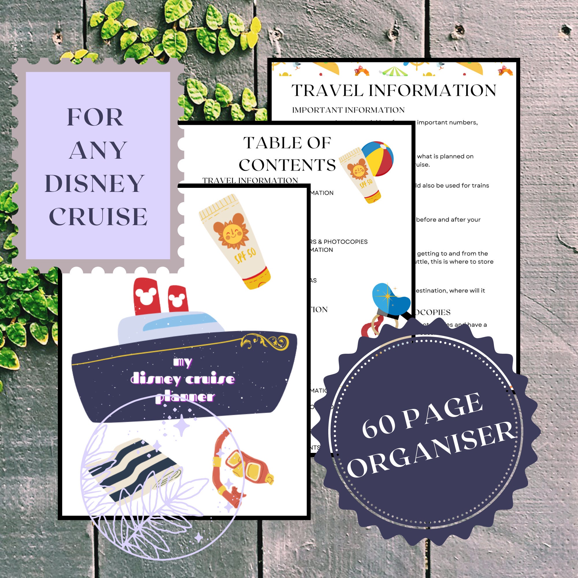 UPDATED COMBO Disney Cruise Tickets and Organiser Suitable for Any ...