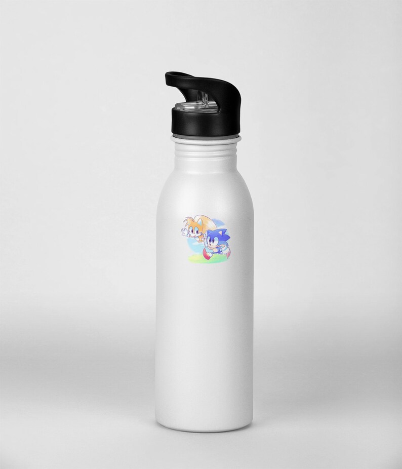 Cute Sonic and Tails Kawaii Chibi Sticker - Etsy