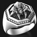 Tarantula Ring, Mystic Jewelry, Octagon Jewelry, Animals Jewelery ...