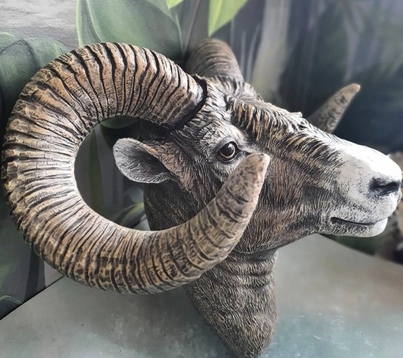 Realistic Huge Ram's Animal Head, Wall Decor Statue, Ram Head Wall ...