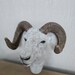Realistic Huge Ram's Animal Head, Wall Decor Statue, Ram Head Wall ...