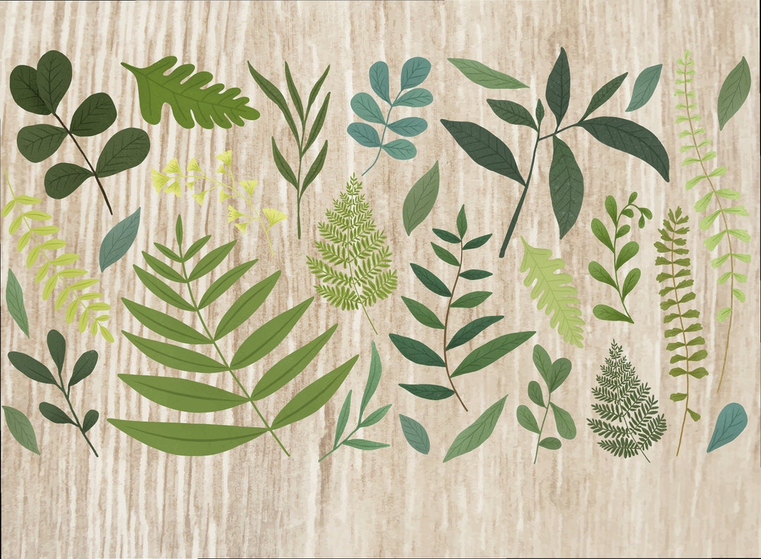 Paper Leaves SVG Leaf Green Svg Templates Cut Files for - Etsy