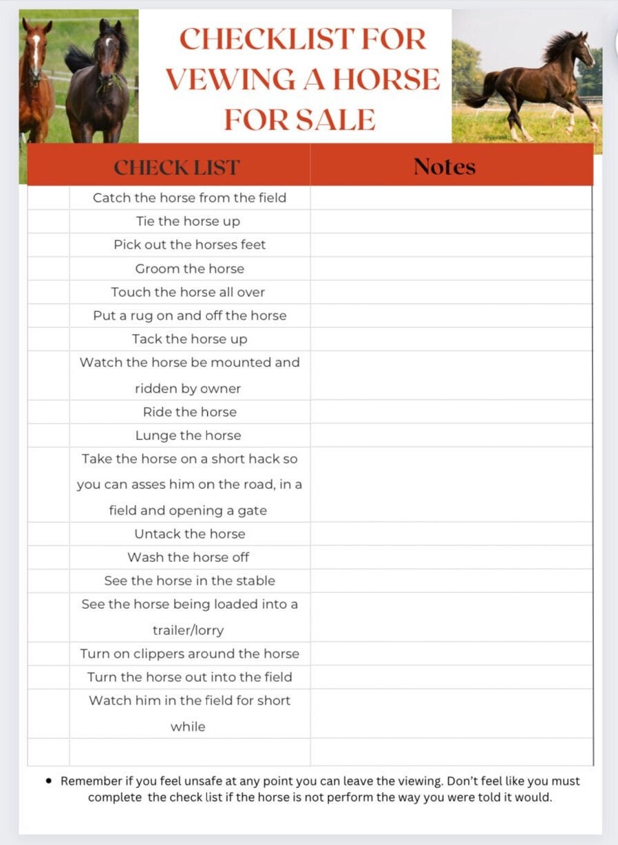 Check List for Viewing a Horse for Sale - Etsy
