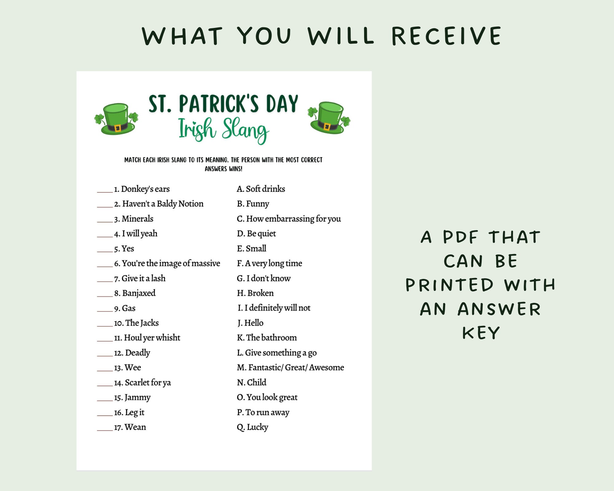 St Patrick's Day Irish Slang Game Printable St - Etsy