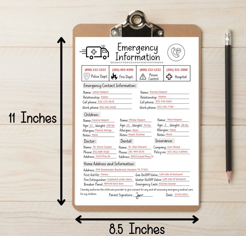 Emergency Contact Information Sheet Babysitter Info Sheet - Etsy
