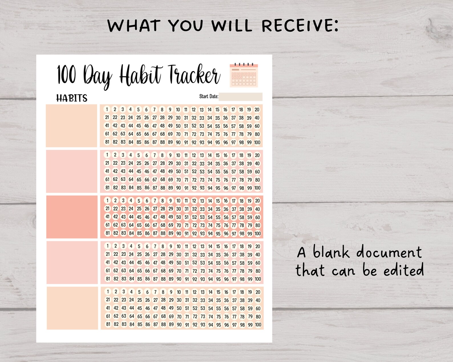 Habit Tracker Editable & Printable Daily Habit Chart Goal - Etsy