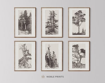 Tree Etching Printable - Etsy