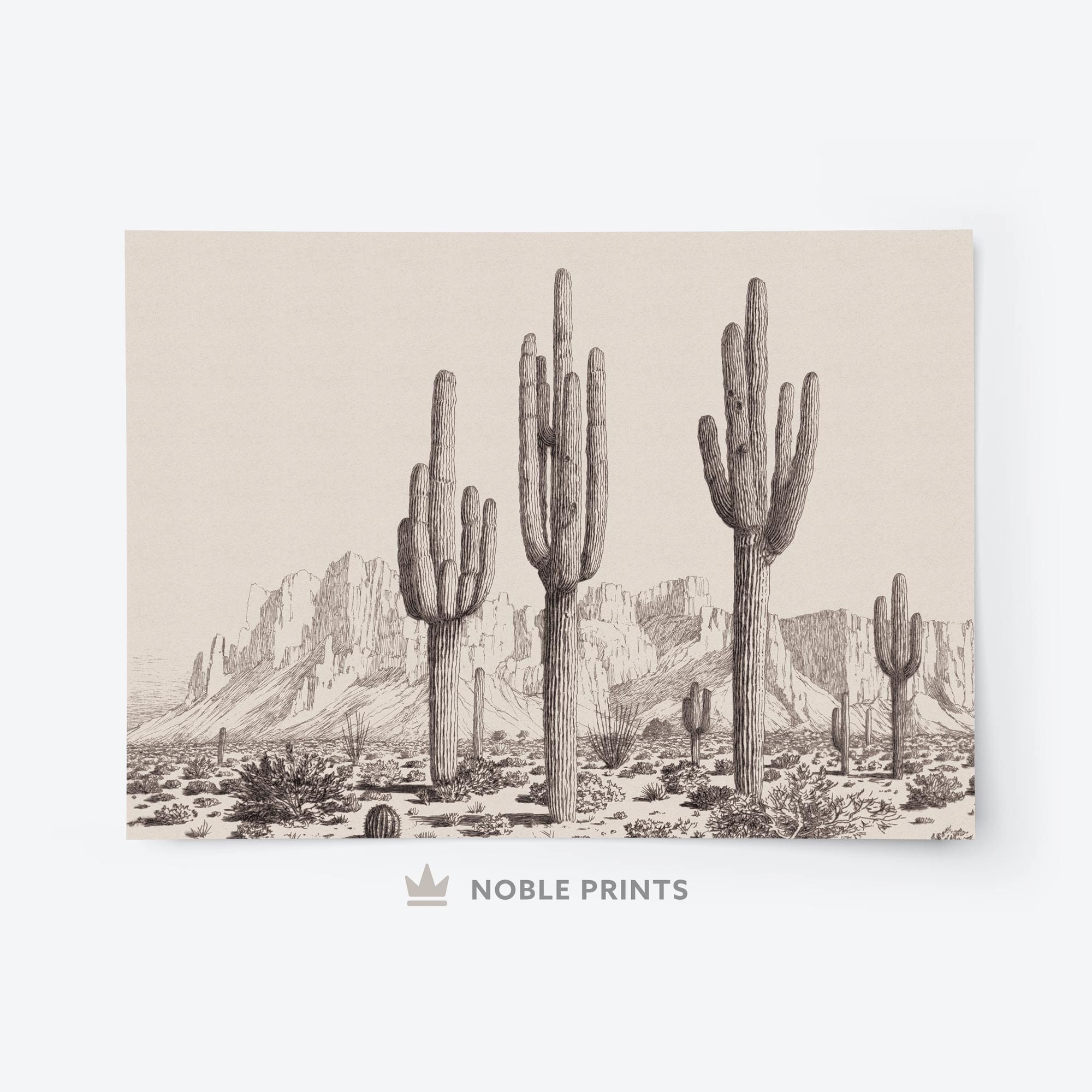 Cactus Desert Drawing