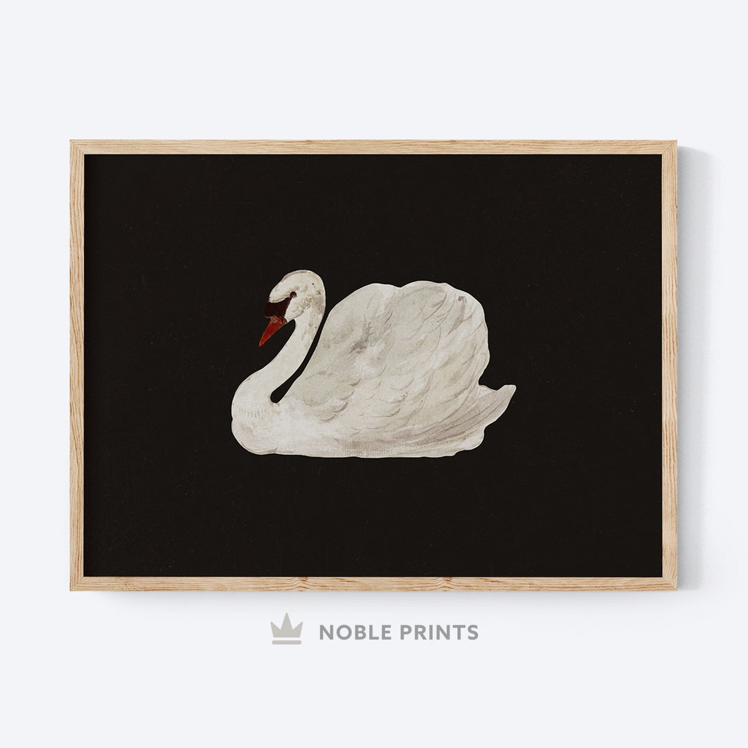 Vintage Swan Painting Printable Vintage Kitchen Prints - Etsy