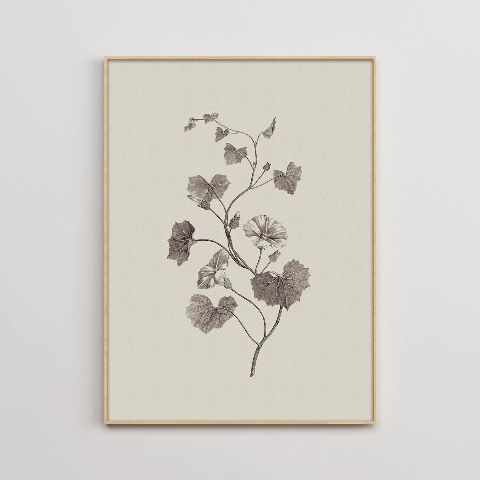 Neutral Botanical Gallery Print Set Printable Flower Wall - Etsy