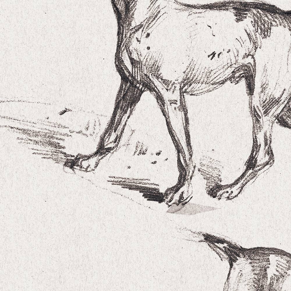 Dog Study Drawing Printable Vintage Rustic Digital - Etsy