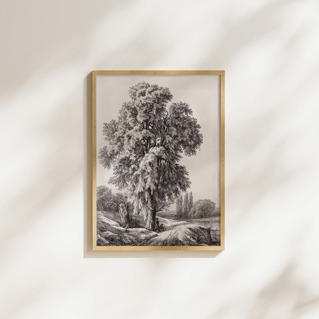 Vintage Tree Drawing Wall Art, Printable, Neutral Nature Wall Print ...