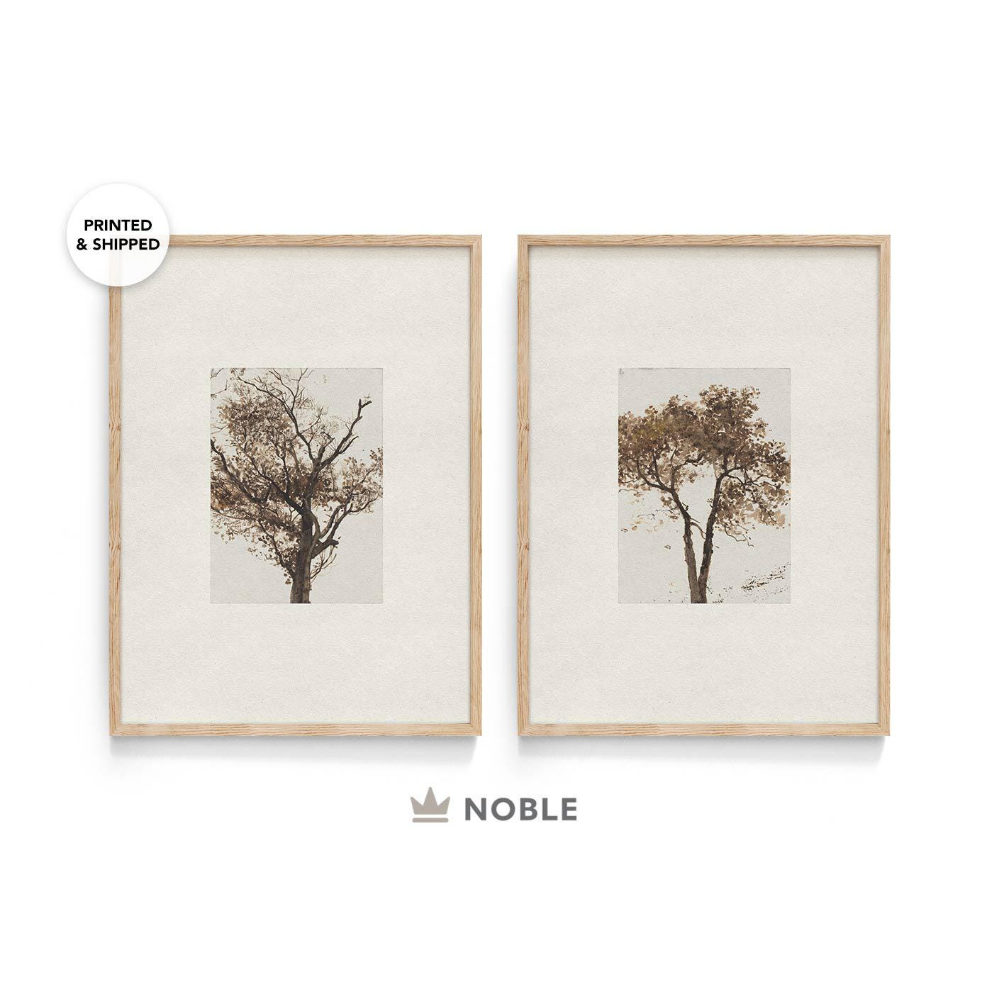 Set of 2 Tree Drawing Prints, PRINTED AND SHIPPED, Vintage Etching ...
