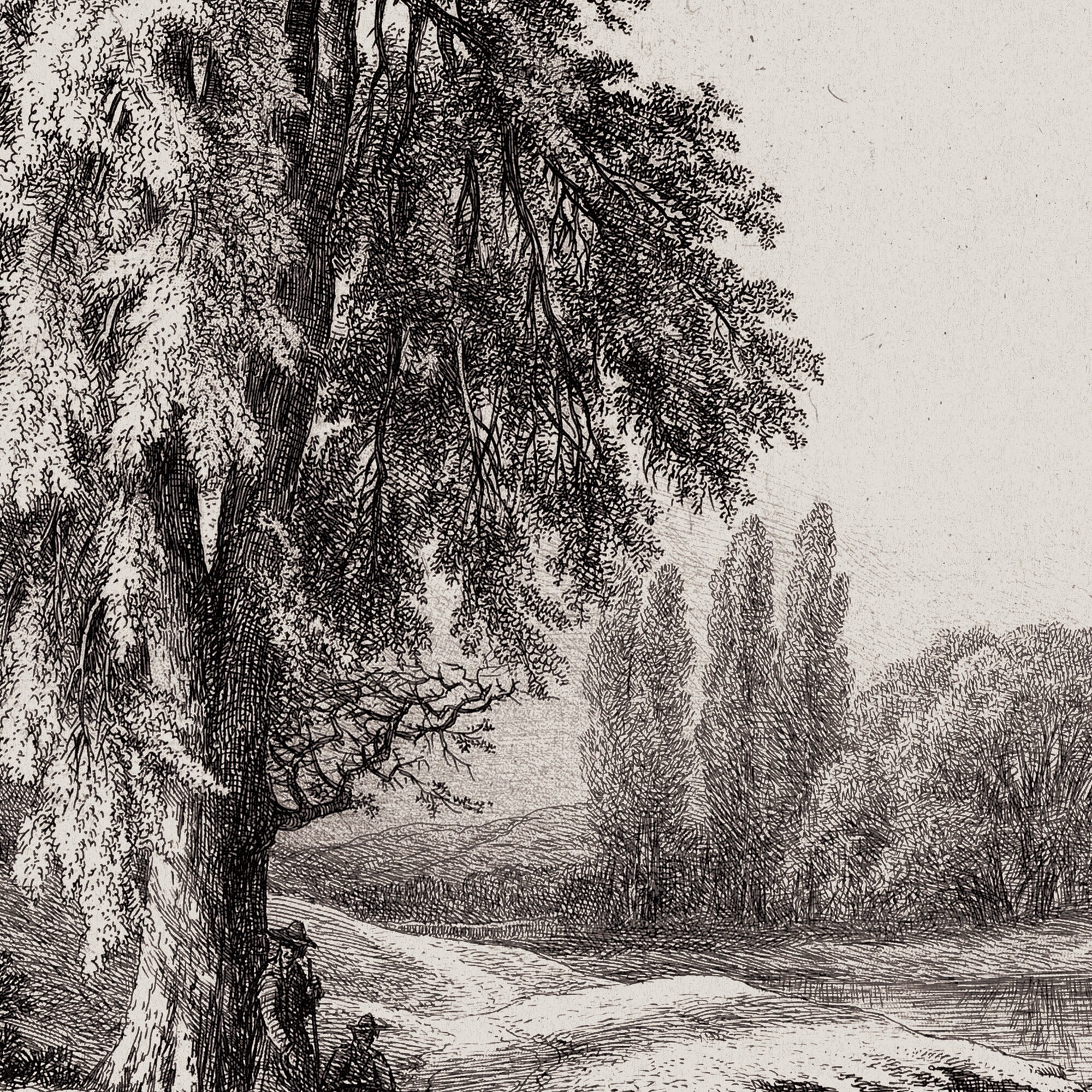 Vintage Tree Drawing Wall Art, Printable, Neutral Nature Wall Print ...