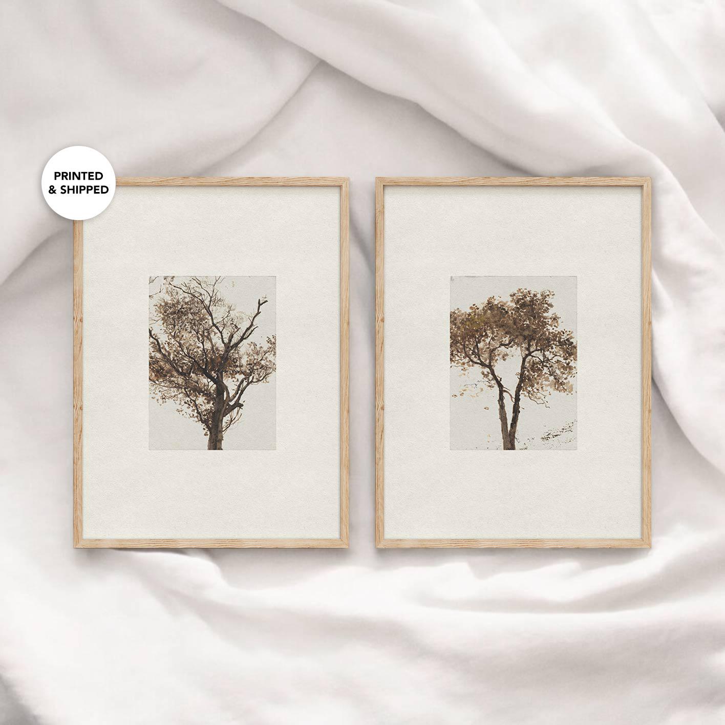 Set of 2 Tree Drawing Prints, PRINTED AND SHIPPED, Vintage Etching ...