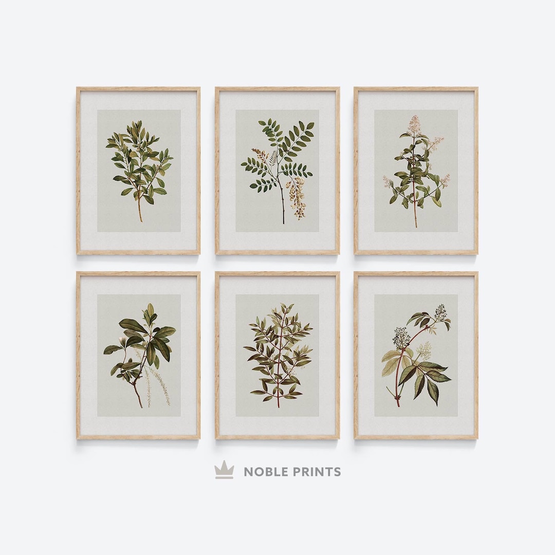Vintage Botanical Gallery Wall Print, Set of 6, Antique Art, Printable ...