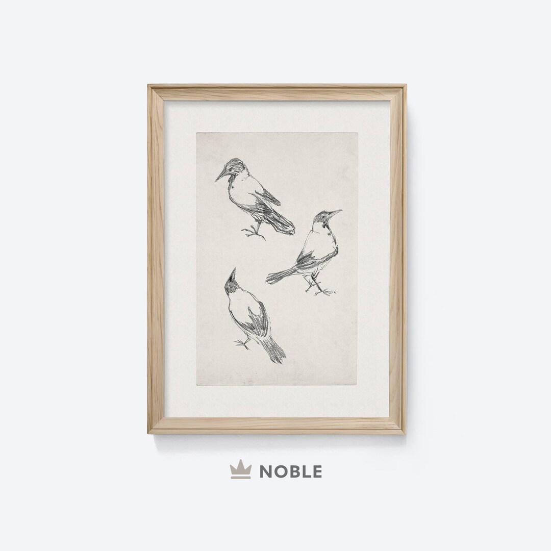 Vintage Bird Sketch Etching, Vintage Crow Wall Art, Neutral Wall Art ...