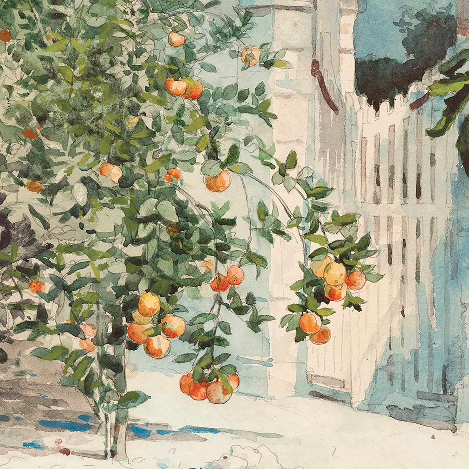 Orange Tree Watercolor Set, Printable Wall Art, Spanish Kitchen Decor ...