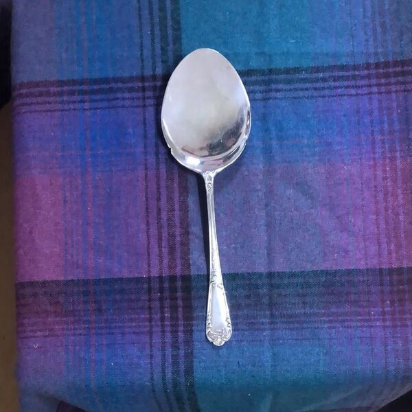 Epns Silverware - Etsy