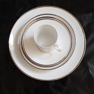 Vintage Thomas Germany Porcelain 5 Piece Dinner Place Setting - Etsy