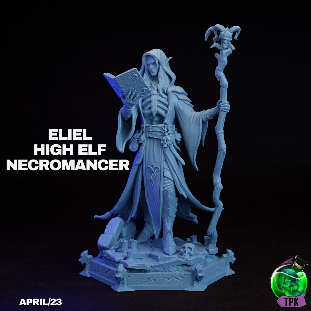 Eliel High Elf Necromancer | TPK Lab - Etsy