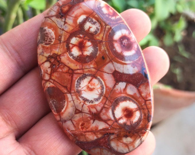 Rare Birds Eye Jasper, Birds Eye Jasper Stone, Natural Bird Eye Jasper ...