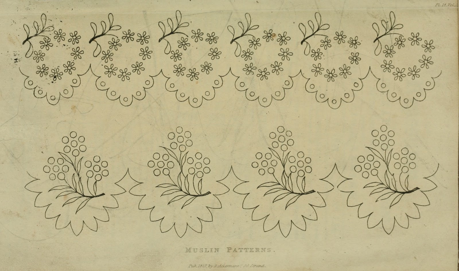 Digital Pattern Regency Flower Border With Scalloped Edges - Etsy