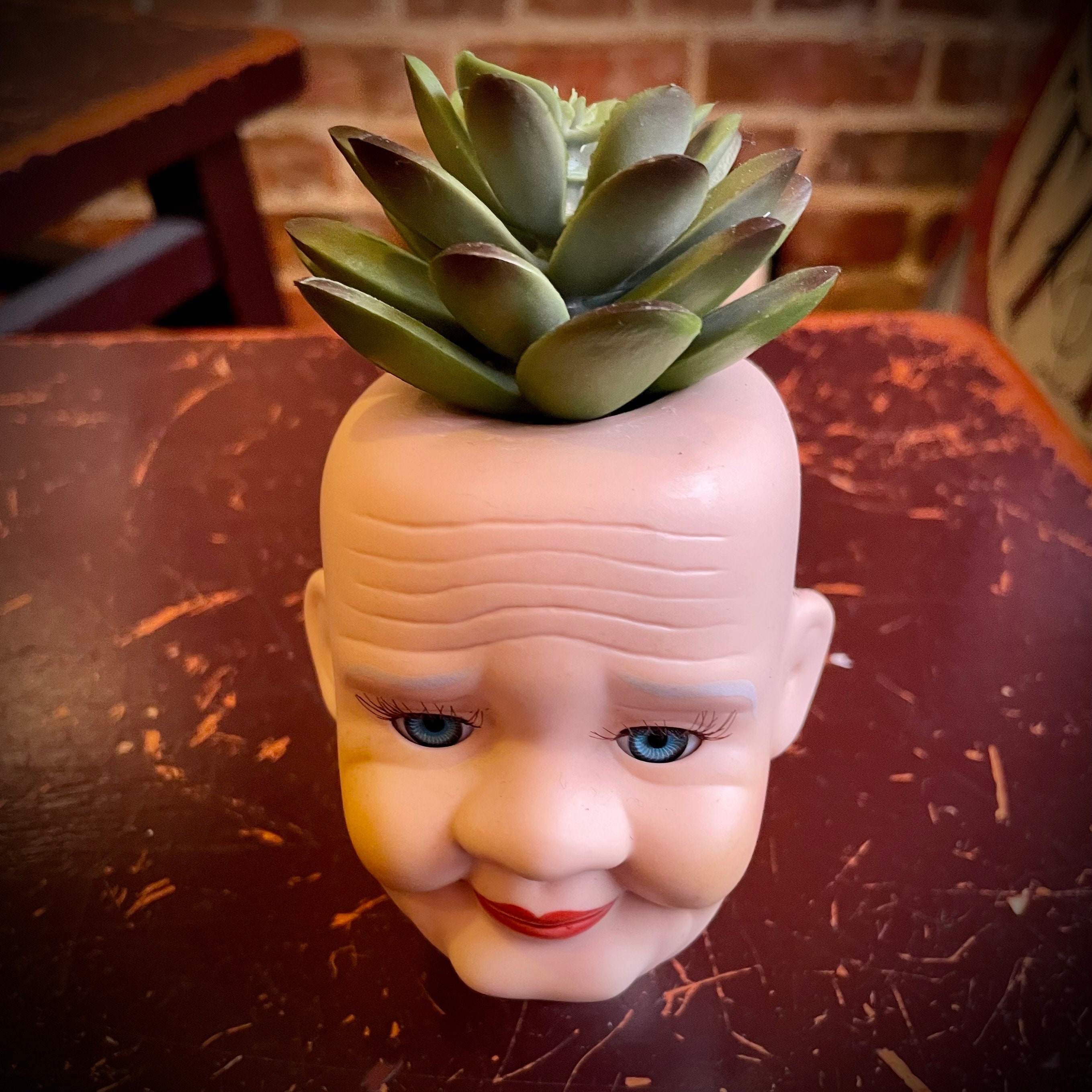 Noggin Pot- Granny - Etsy