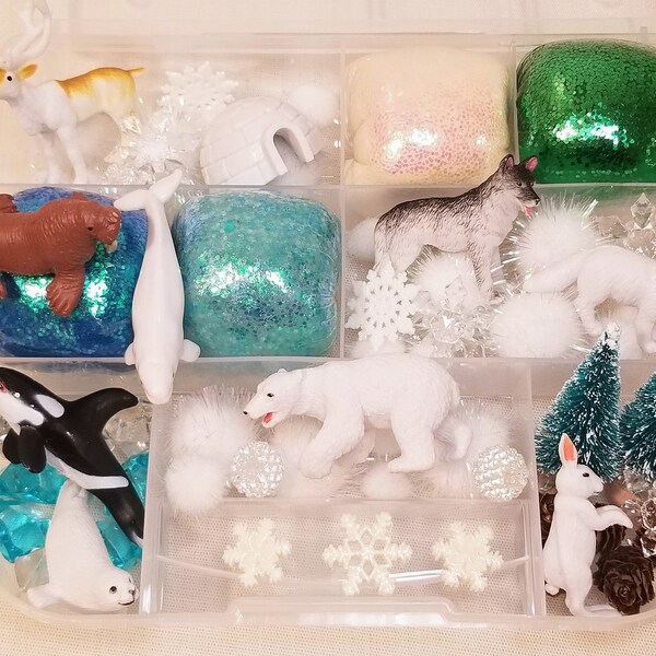 Arctic Playdough Kit - Etsy