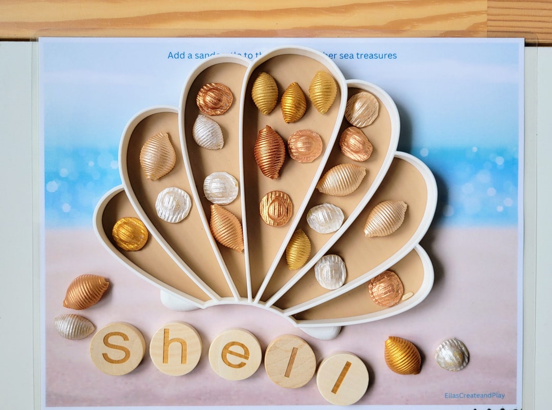 Shell Sensory Bio Tray Sensory Play Gift - Etsy